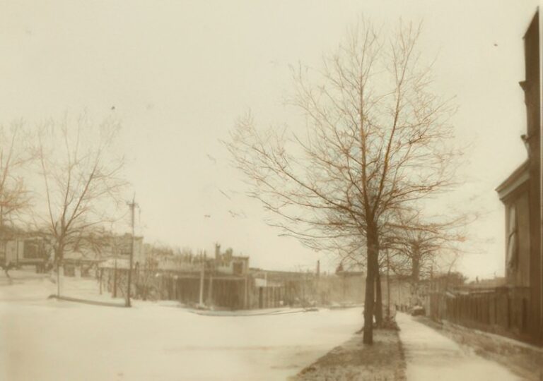 A Photographic Journey through Bushwick Avenue in the Early 1900s