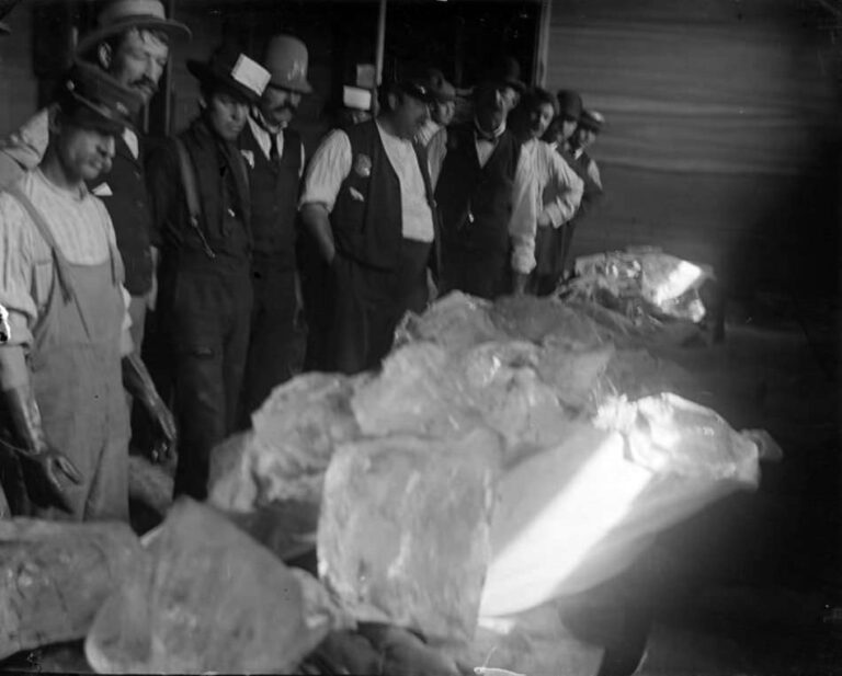 The General Slocum Disaster: How a Fire on a Single Steamboat Killed ...